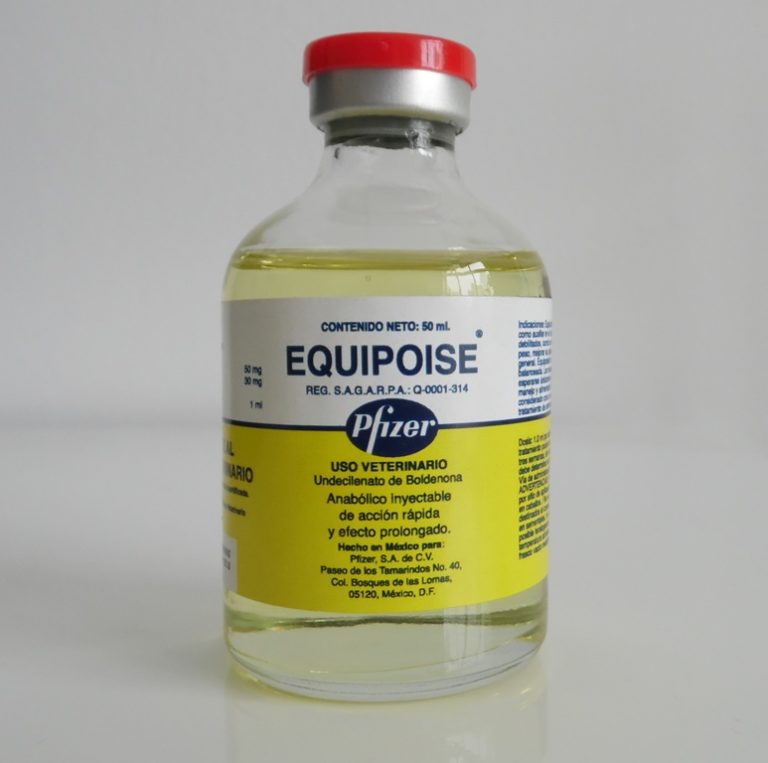 Equipoise Review 2020 - Does it Really Work Or Is It A Scam?